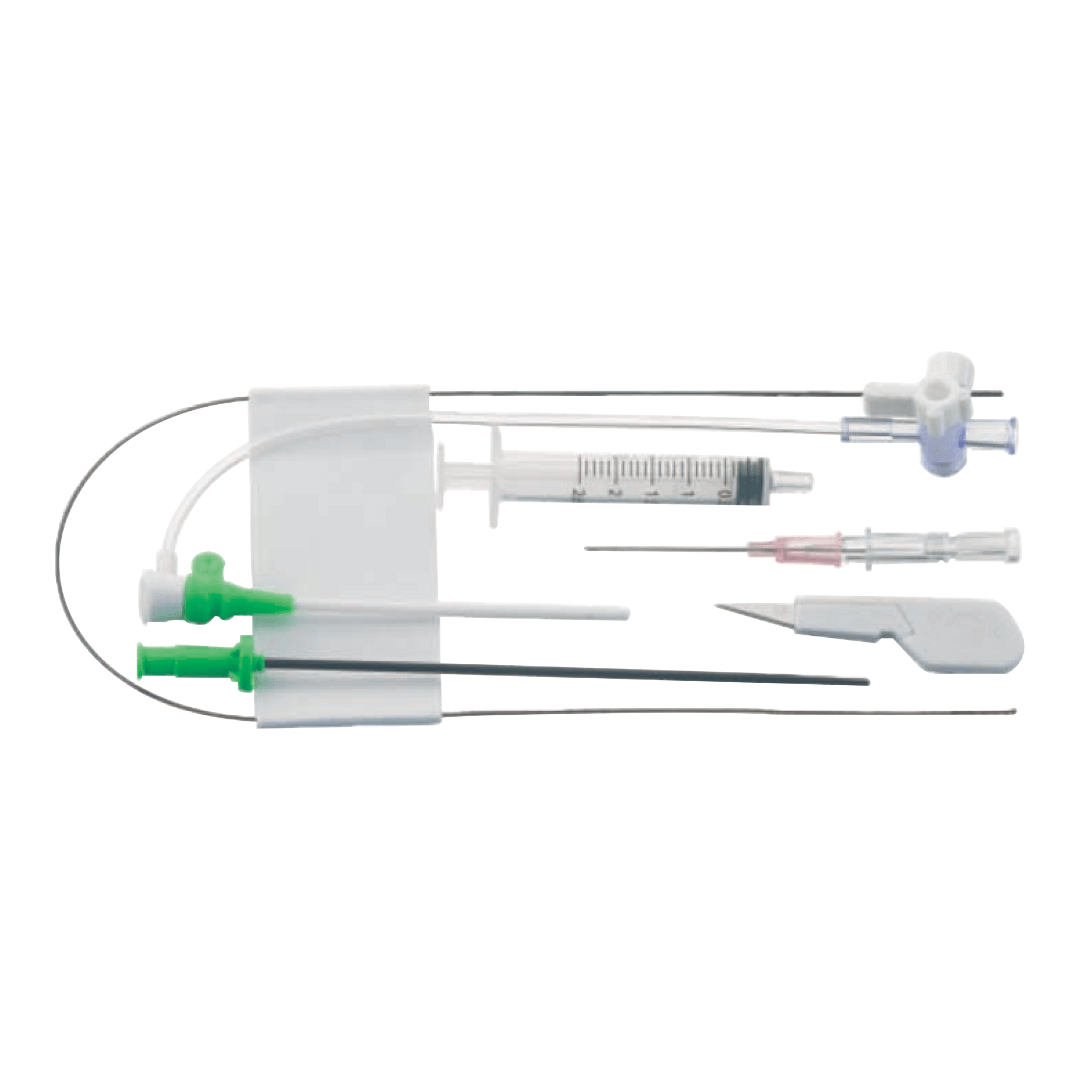 Introducer Set - Prymax Healthcare LLP